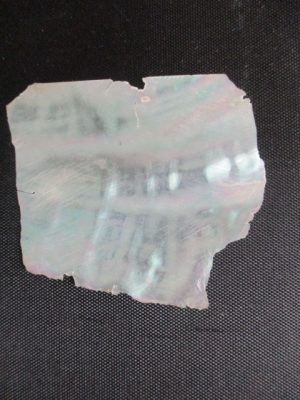 Mother of pearl, awabi shell veneer - Rod Naylors Antique Restoration