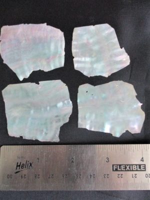 Mother of pearl, awabi shell veneer - Rod Naylors Antique Restoration