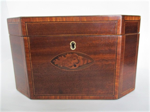 Late Georgian tea caddy, canted corners - Rod Naylors Antique Restoration