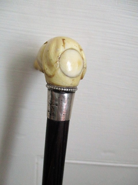 Ivory handled walking cane, dog - Rod Naylors Antique Restoration