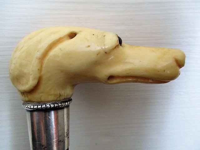 Ivory handled walking cane, dog - Rod Naylors Antique Restoration