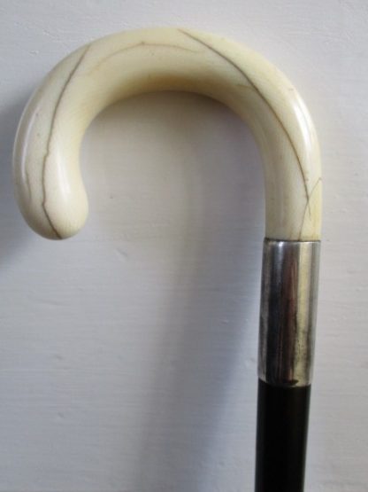 Ebony walking cane with carved ivory handle - Rod Naylors Antique ...